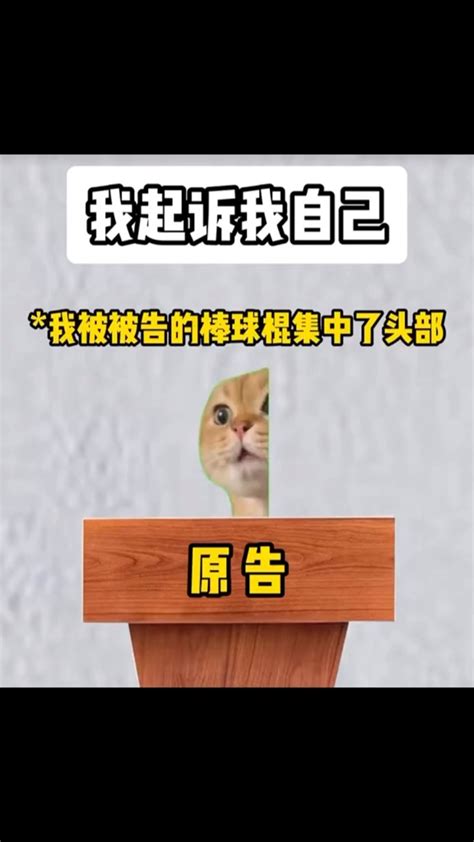 喵喵小劇場 你是不是也幹過這件事🤣🤣🤣 搞笑 迷因 迷因系列 梗圖推推 梗圖大全 梗圖迷因 梗圖分享 生活 生活日常