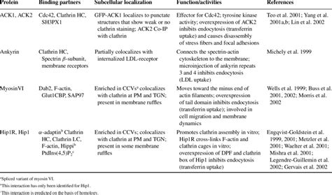 Links Between The Clathrin Coat And The Actin Cytoskeleton Download Table