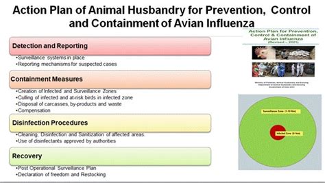 Government And Poultry Industry Collaborate To Prevent Bird Flu