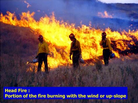 Ppt Managing The Burn Firing Techniques And Managing Ignition For