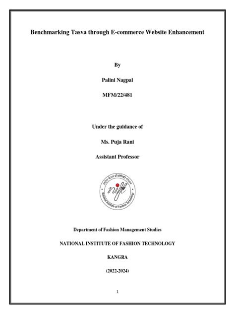 internship project pdf e commerce business economics