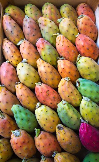 바이브런트 프릭클리 Pears 안쪽에 만들진 나무상자 가을에 대한 스톡 사진 및 기타 이미지 가을 백년초 0명 Istock
