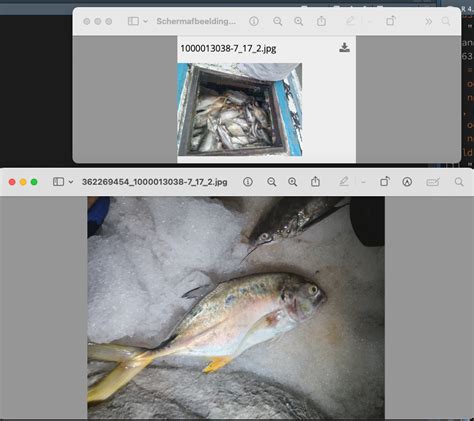Introducing The R Package Robotoolbox Page Data Management Kobotoolbox Community Forum