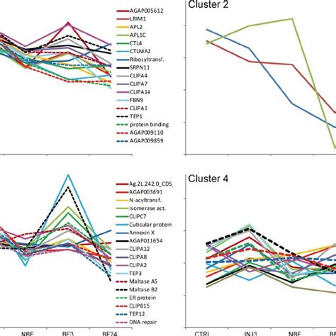 K Means Clustering Analysis Of The Expressional Profiles Of The Genes Download Scientific