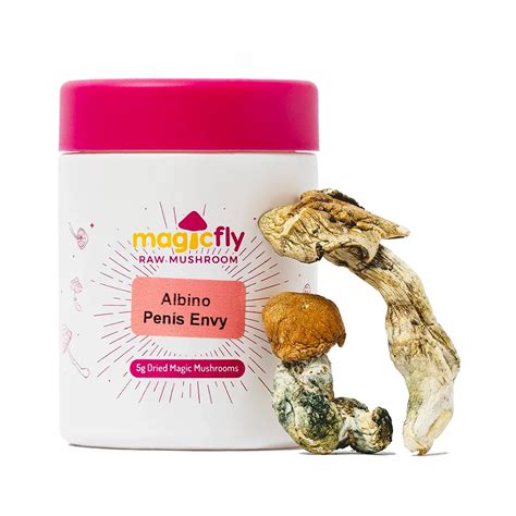 Albino Penis Envy Raw Mushroom 5g Magicfly