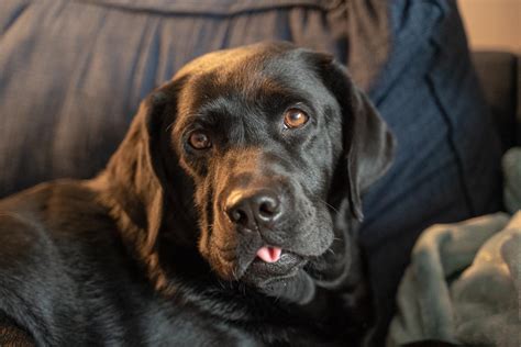 Morning Blop Scrolller