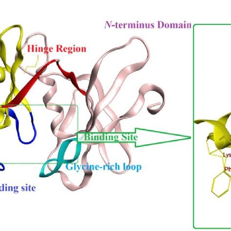 The Protein Crystal Structure Of Pim1 Kinase Pdb Id 4dtk With A