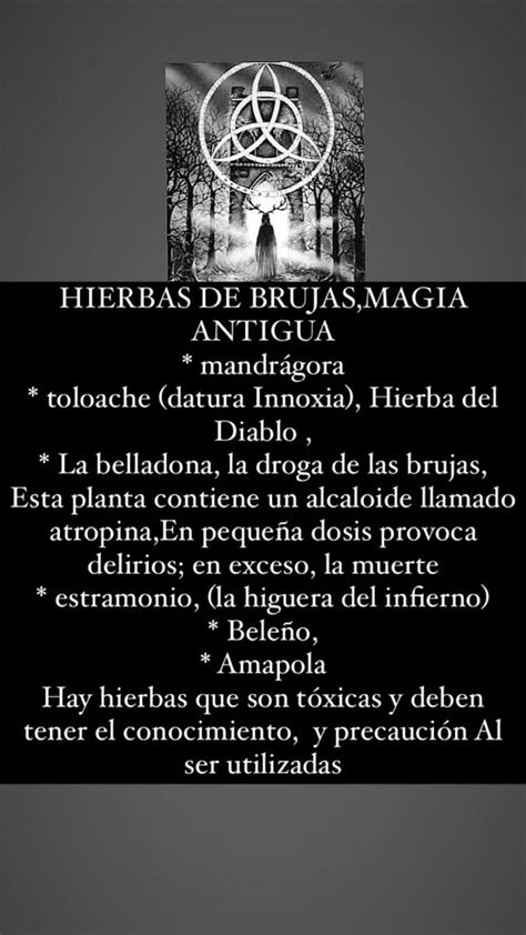 Hierbas De Bruja Magia Antigua Echizos Y Conjuros Hechizos Y