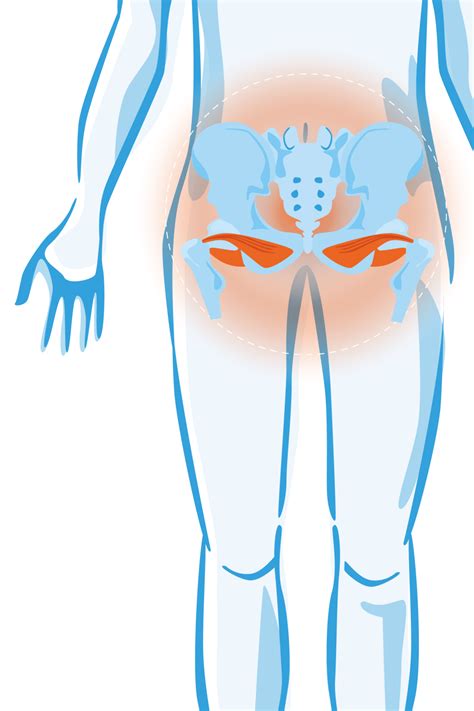 Pijn Onder In Buik Of Bekken Fysik Gespecialiseerde Fysiotherapie