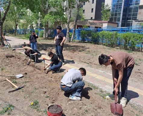 Чингэлтэй дүүргийн Хөдөлмөр Халамжийн үйлчилгээний хэлтэс Added A New Чингэлтэй дүүргийн