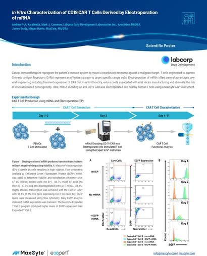 Anti Cd19 Car T Cells Derived By Electroporation Maxcyte