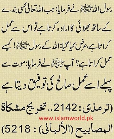 Allah Jab Bhalai Ka Irada Farmata Hai