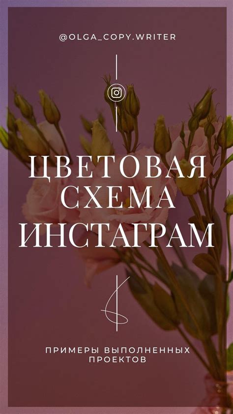 Цветовая схема Инстаграм ленты шрифты и визуализация