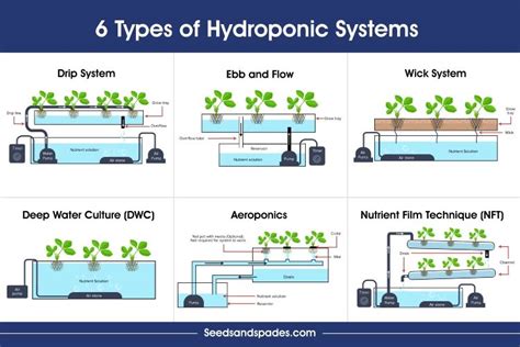 Hydroponic Systems Can Seem Confusing But They All Operate On Similar Concepts That You Can