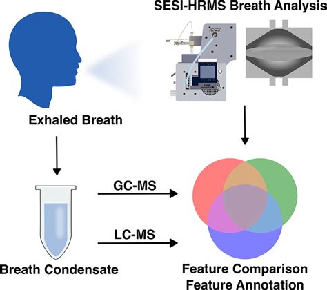 comparative analysis of feature annotation methods for sesi hrms in