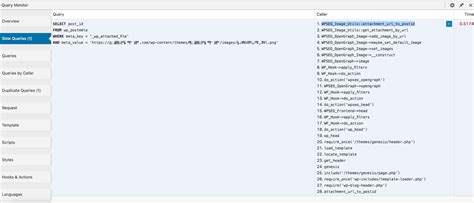 Query With Metavalue Slowing Down Database · Issue 10195 · Yoast
