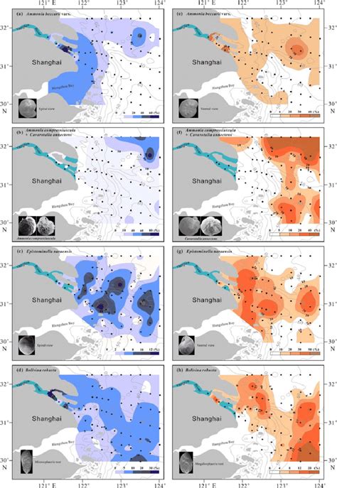 A B C D Autochthonous And E F G H Allochthonous Composition Download Scientific