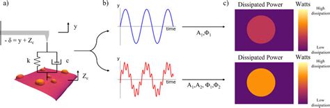 System Schematic A Cantilever Sample Interaction Y Is The Download Scientific Diagram