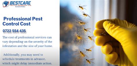 Diy Pest Control Methods Vs Professional Pest Control Methods
