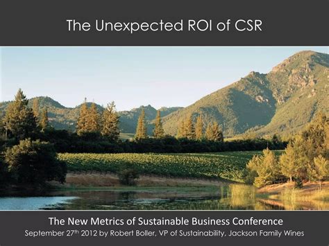 Robert Boller The Roi Of Csr Pptx