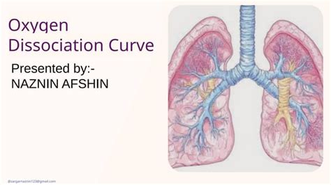 Oxygen Dissociation Curve By Nazninpptx Oxygen Dissociation Curve By Nazninpptx