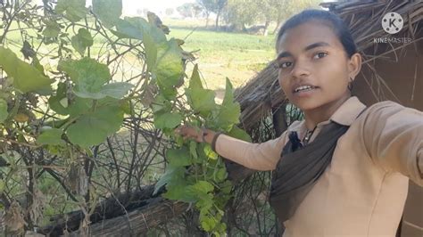 My First Vlog Village Girl Vlog Desi Girl Vlog Youtube