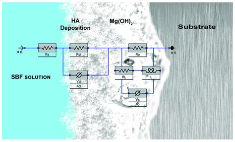 Equivalent Circuit Used For Fitting The Eis Curves Download Scientific Diagram