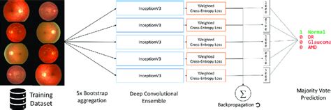 Overview Of The Deep Convolutional Ensemble Model Components And Download Scientific Diagram