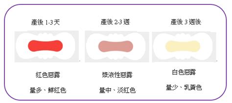 剖腹生產產後衛教產後傷口護理產後異常徵兆 臺中榮民總醫院護理衛教