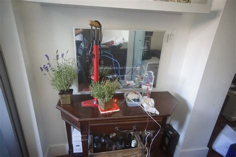 Automated Plant Watering With Raspberry Pi