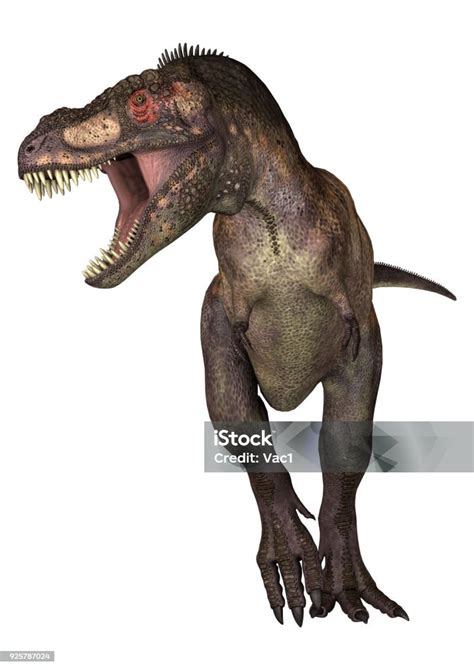 디지털 3d 렌더링 화이트에 공룡 티라 0명에 대한 스톡 사진 및 기타 이미지 0명 3차원 형태 거인 Istock
