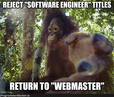 Is There A Cooler Title Than That Programmerhumor Io