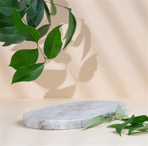Абстрактная пустая мраморная доска с тенями и зелеными листьями на бежевом фоне Концепция макета