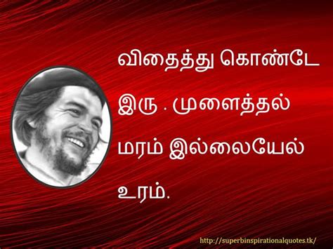 ச கவர சநதன வரகள தமழ Superb inspirational Quotes Inspirational words