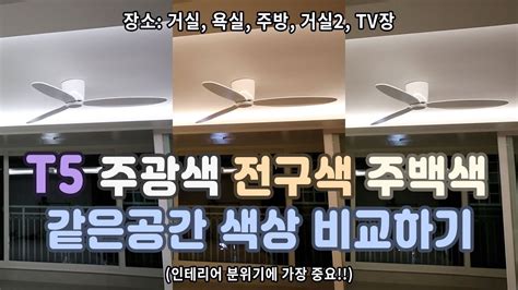 T5 주광색 전구색 주백색 같은 공간 색상 비교 영상 T5 간접 조명 분위기 비교 루씨에어 실링팬 3인치 매입 등 같이 시공 거실 욕실 주방 Tv장 위 영상 비교