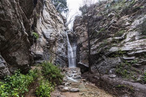 20 Dog Friendly Hikes In The Greater Los Angeles Area Barkbus Ruff Draft