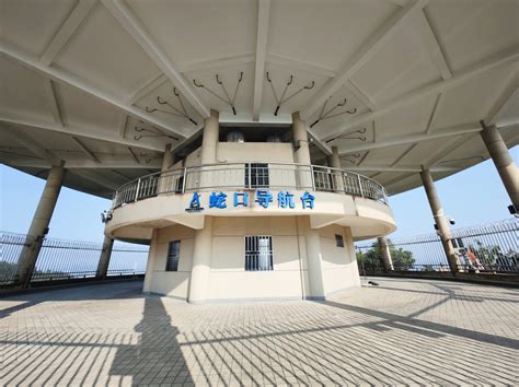 团建丨大南山踏春游一起走起来 深圳市泰正电子科技有限公司