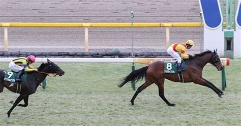 【共同通信杯（g3）回顧～その先へ】日刊コンピ篇｜haya