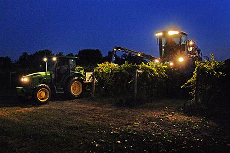 Tassel Ridge Wine Harvest And Crush Tassel Ridge Winery Iowa Winery