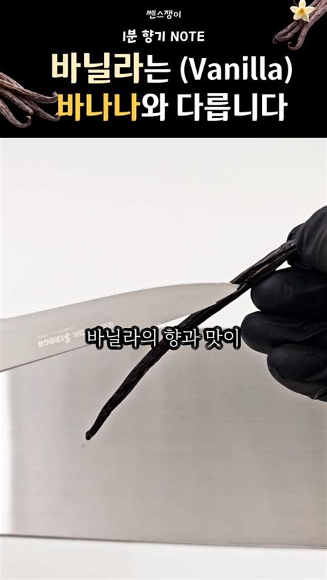 쎈스쟁이 Ssense Fragrance 바닐라 향 추출 하는 방법 With 보드카 Vanilla Infused Vodka