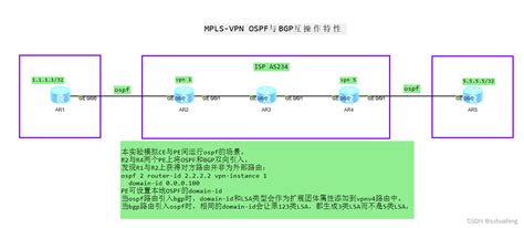 【hcie】mpls vpn ospf与bgp互操作特性（domain id） ospf domain id csdn博客