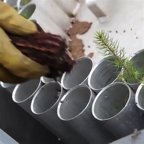 [video] Jon Steinberg On Linkedin This Machine Can Plant Entire Forests Chdr Tv A3f2e