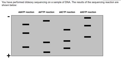 You Have Performed Dideoxy Sequencing On A Sample Of