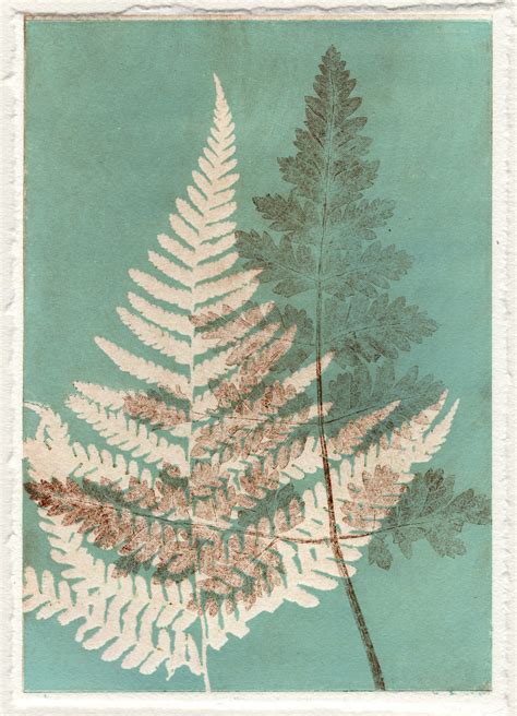 Etching And Printmaking Images — Gael Sellwood