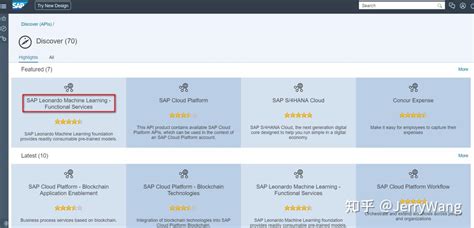 基于 SAP BTP 平台的 AI 项目经验分享 知乎