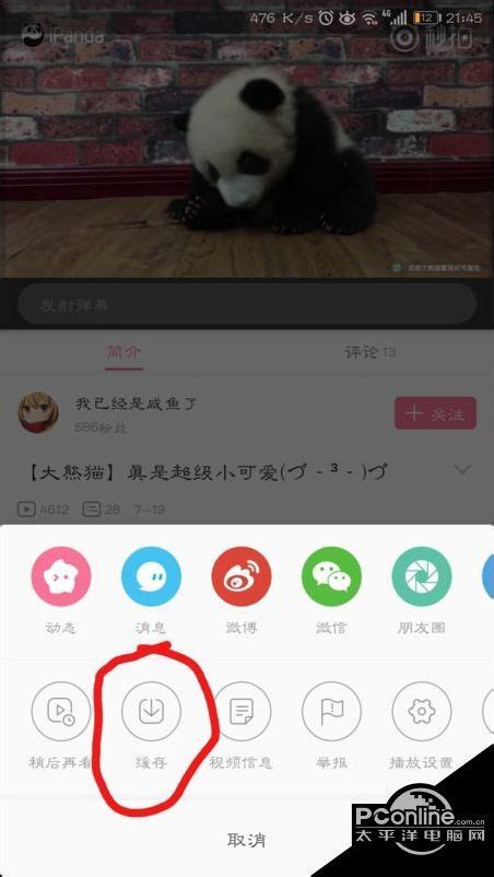 哔哩哔哩缓存视频教程详解 太平洋电脑网