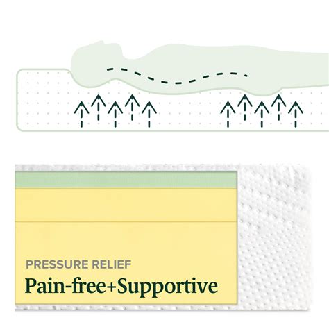 Zinus 12 Inch Green Tea Essential Memory Foammattress