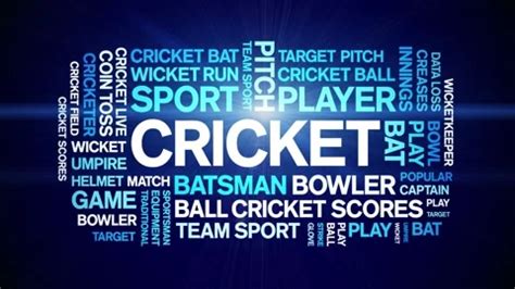 Cricket Animated Word Cloud Animation Te Stock Video Pond5
