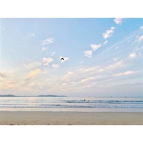 팜서프 서핑여행 스리랑카 Palmsurfsrilanka • Instagram Photos And Videos