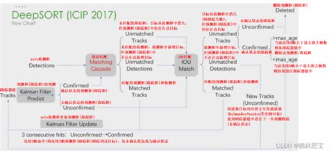 Deepsort工作原理分析deepsort原理 Csdn博客